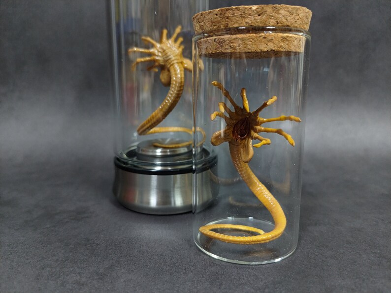 Alien Jar Xenomorph Facehugger Specimen Embryo Glass Jar Movie - Etsy ...