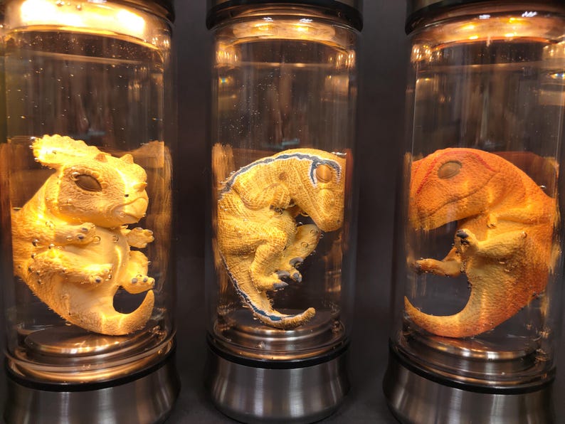 Jurassic Park Dinosaur Embryo Jar Jurassic World Velociraptor Blue ...