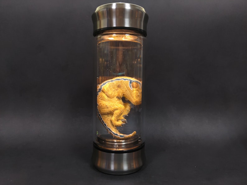 Jurassic Park Dinosaur Embryo Jar Jurassic World Velociraptor Blue ...