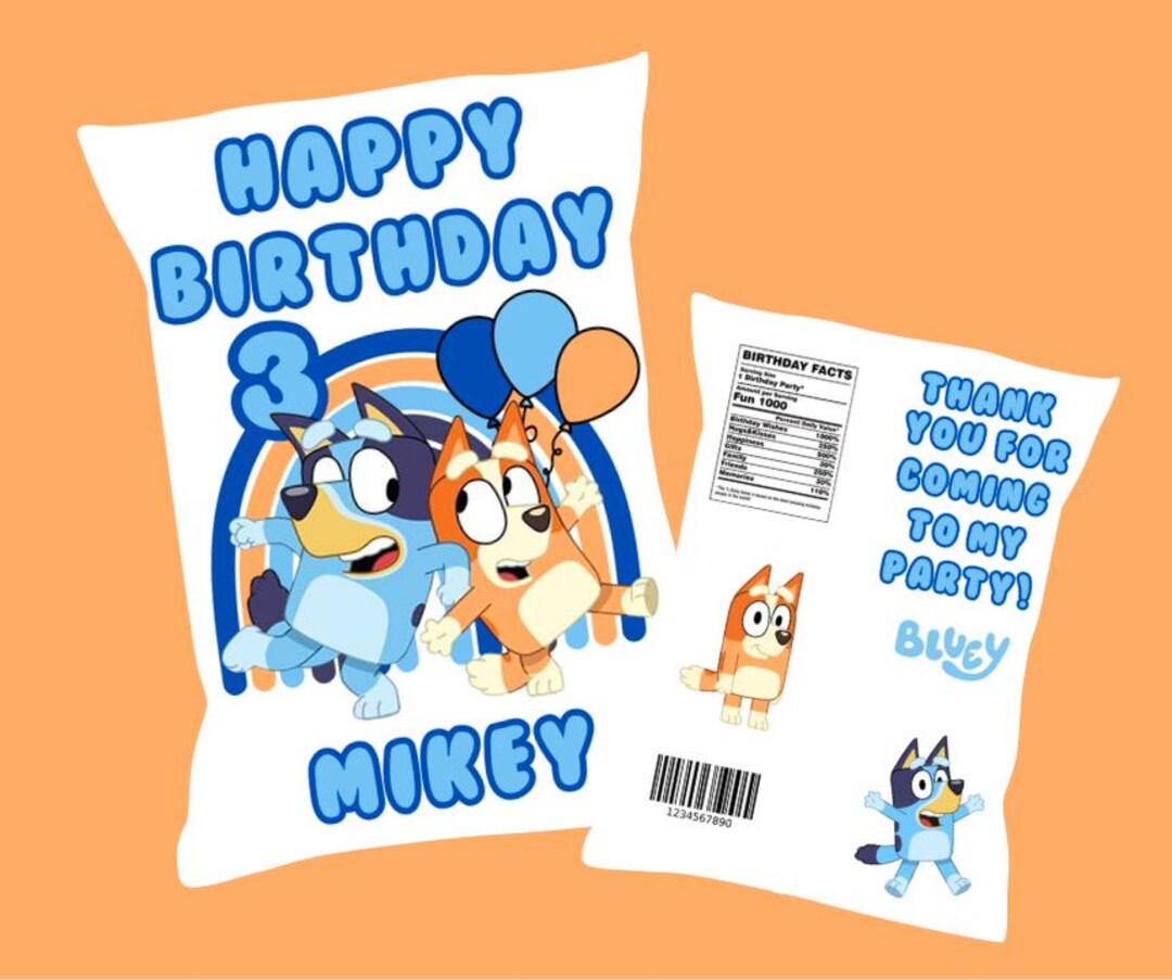Bluey Crisp Packets Birthday Party Favours Pink Blue Boy Girls Bluey ...