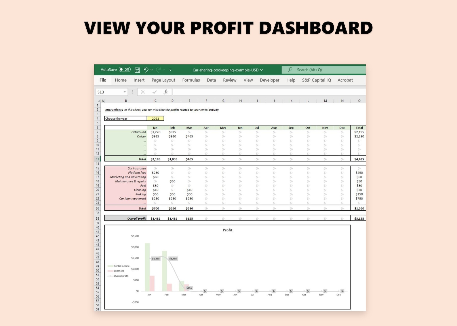 Professional Car Rental Accounting Excel Template - Track Income ...
