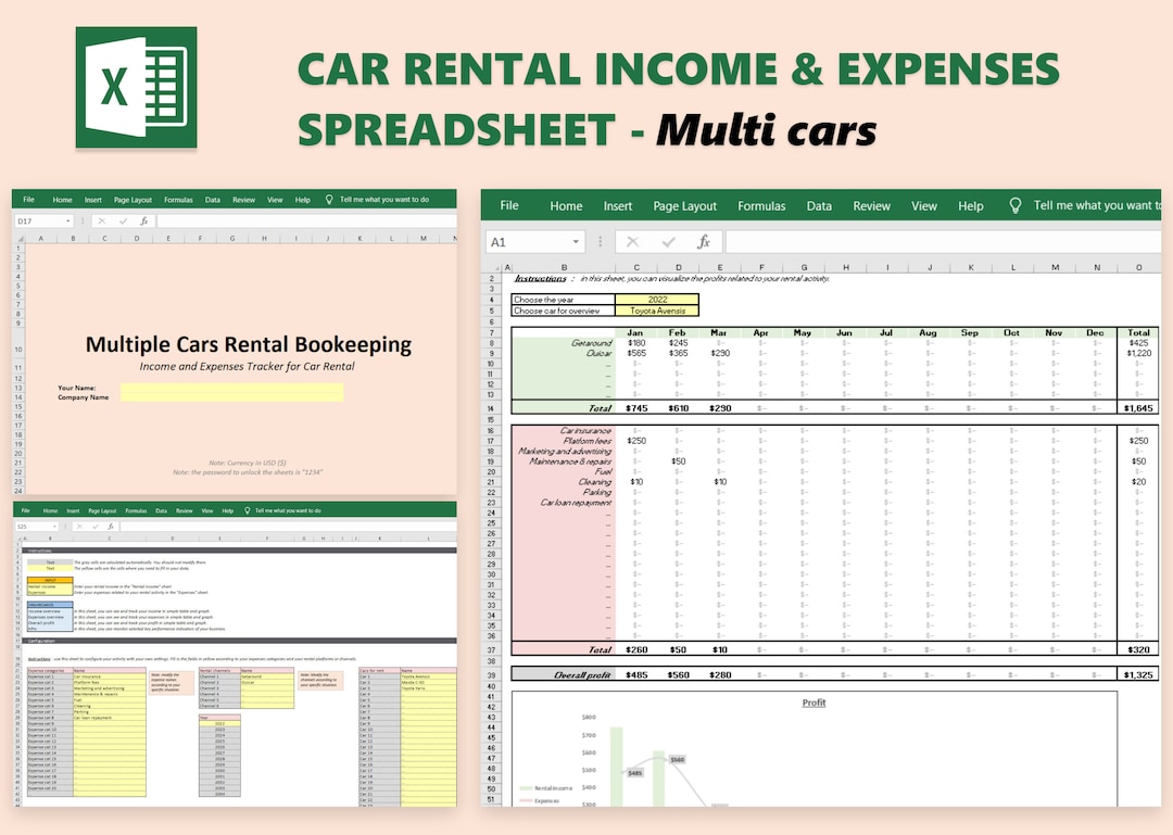 Professional Car Rental Accounting Excel Template - Track Income ...