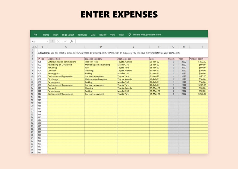 Professional Car Rental Accounting Excel Template - Track Income ...