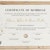 Editable American Certificate, Printable Certificate Template American ...