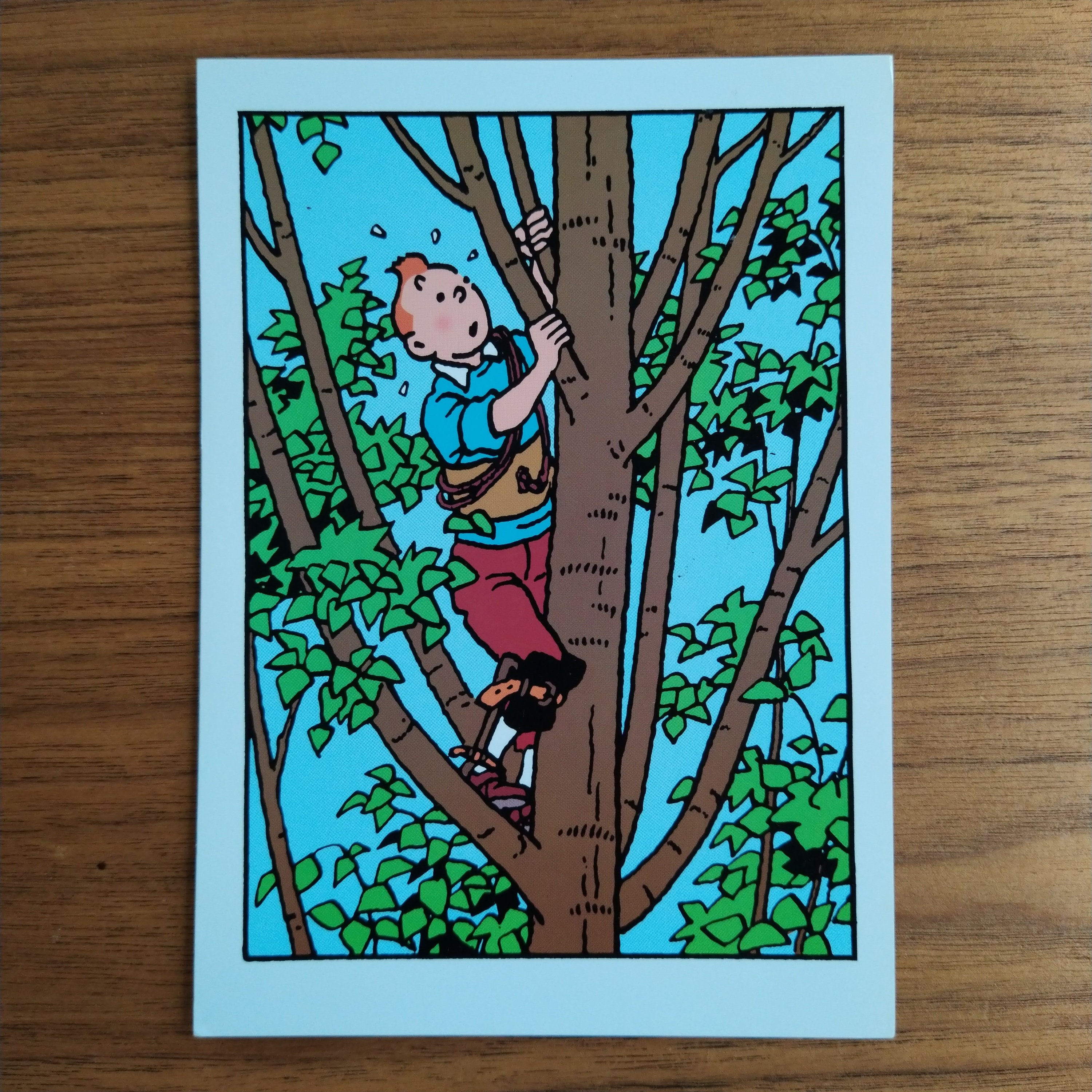 Folded Cards Tintin Illustrations Set of 4 - Etsy