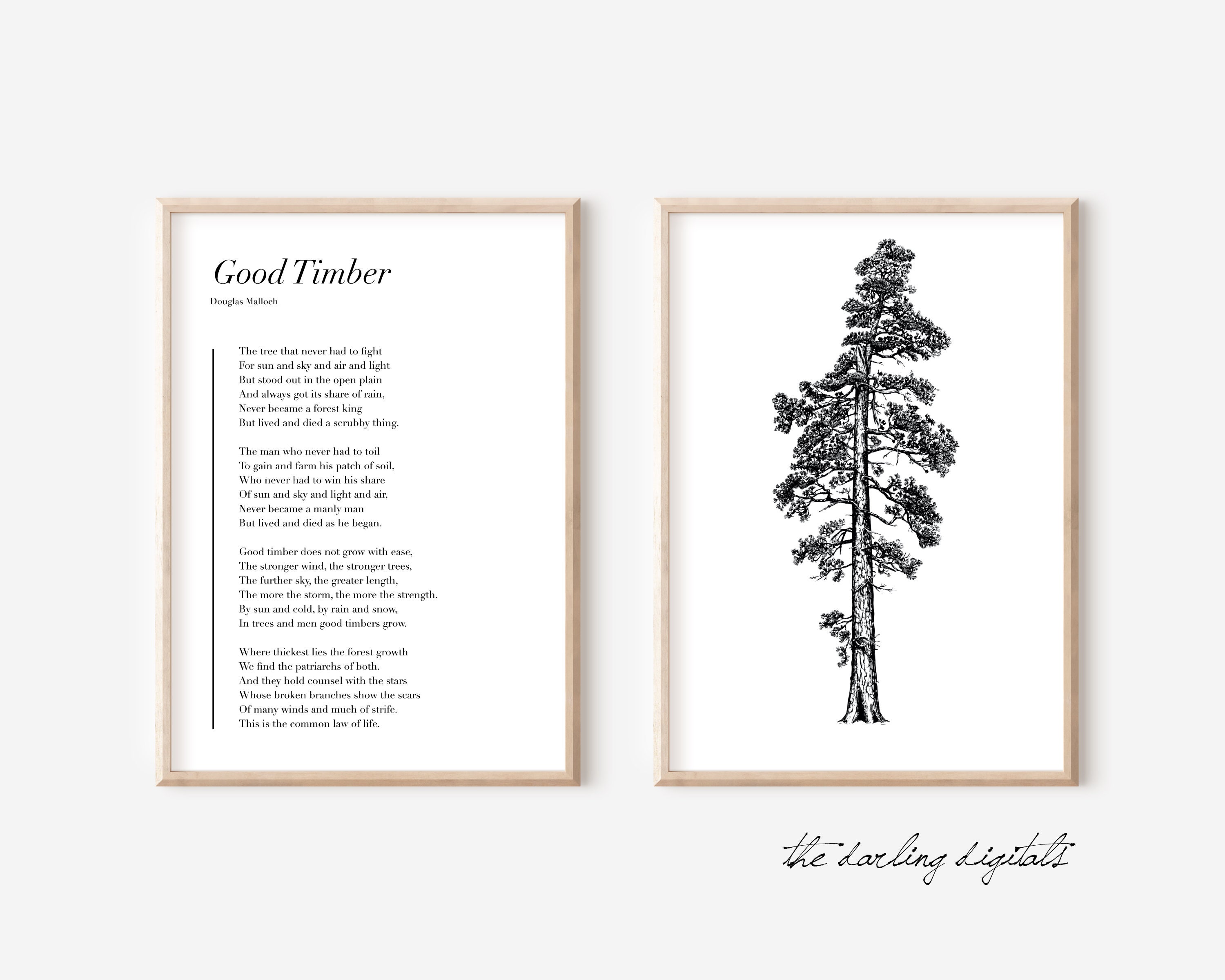Good Timber Poem + Drawing - Etsy