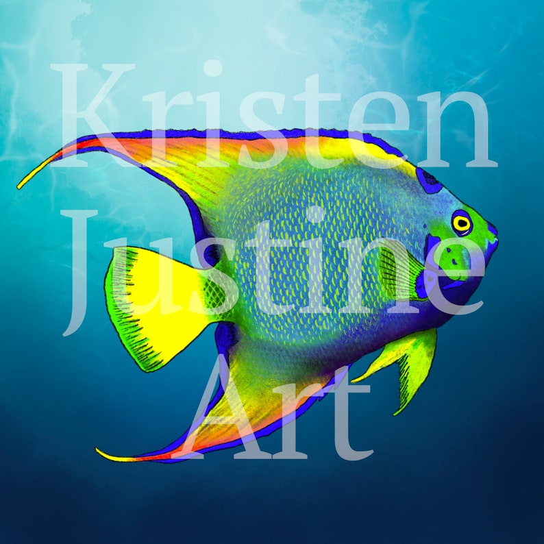 Digital Download Queen Angel Fish Procreate Drawing Illustration Hand ...