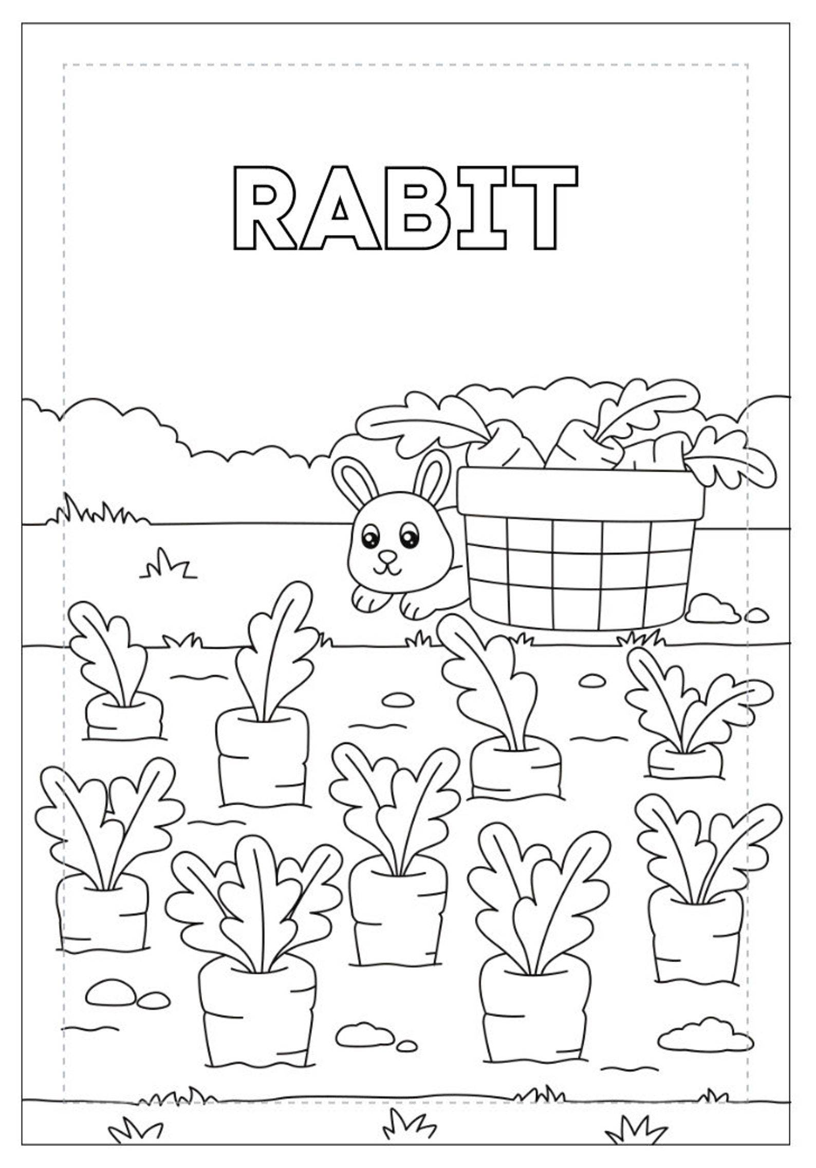 50 Animals Coloring Book, Kids Activity, Preschool Activity - Etsy Canada