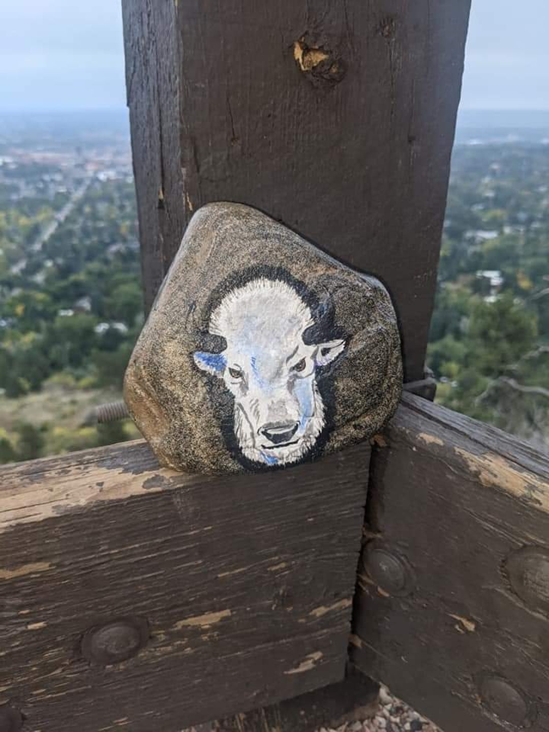 Medium 7 Custom Painted Rock - Etsy