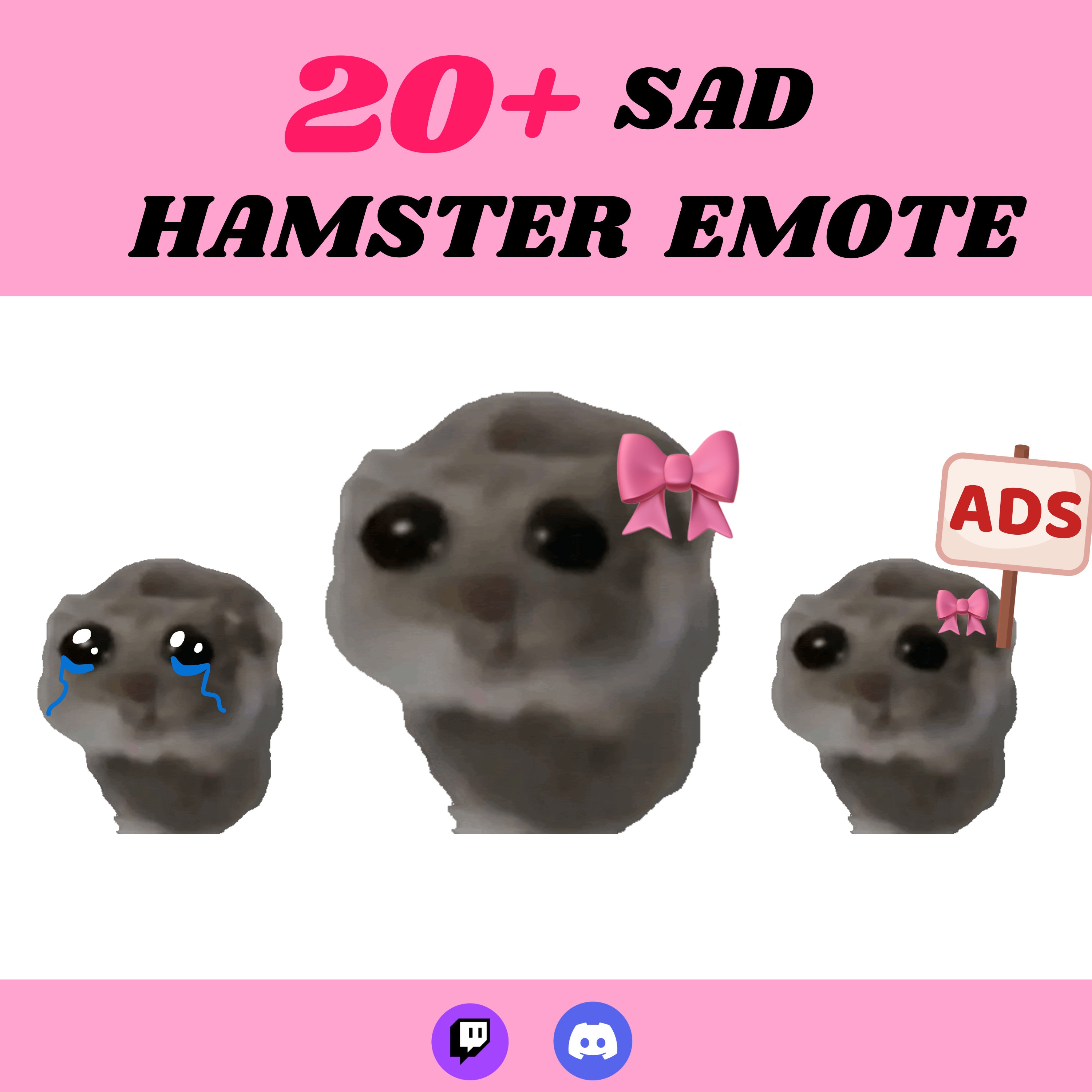 20 Sad Hamster Meme Emote for Twitch and Discord, Please Hamster Meme ...