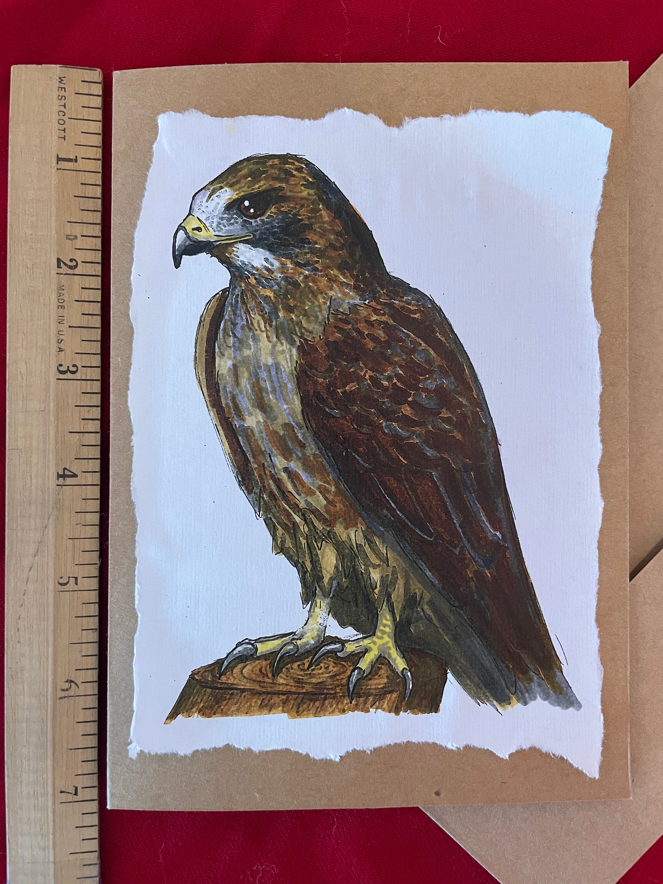 Red-tailed Hawk Cards - Etsy