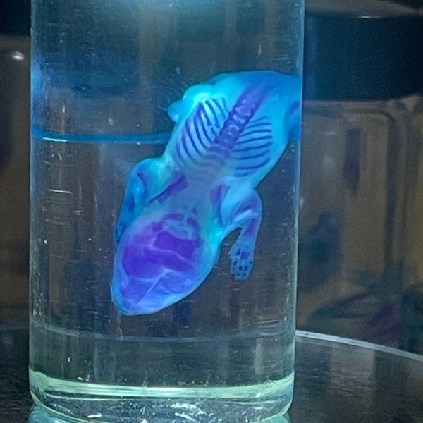 Diaphonization - Etsy