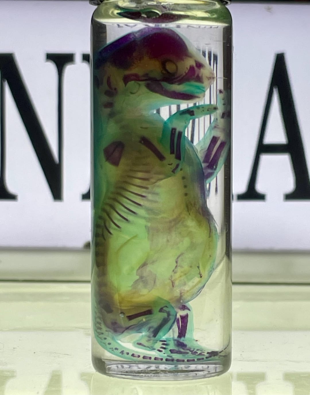 Diaphonized Fetal Feline - Etsy
