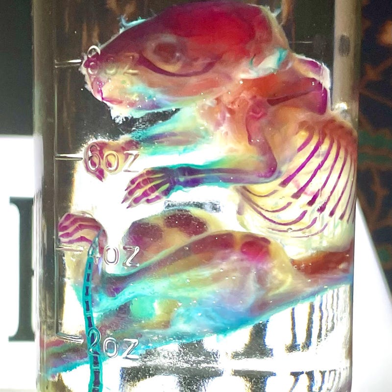 Diaphonization - Etsy