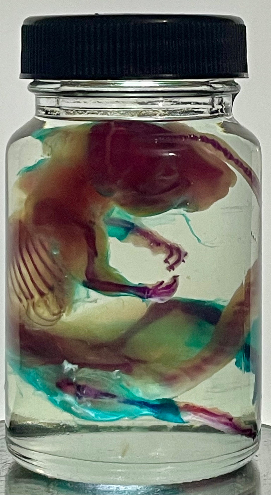 Diaphonized Mouse - Etsy