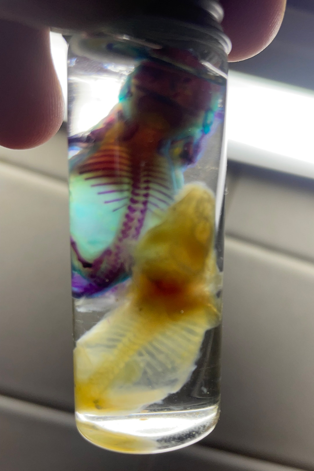 2 Diaphonized Pinky Mice - Etsy