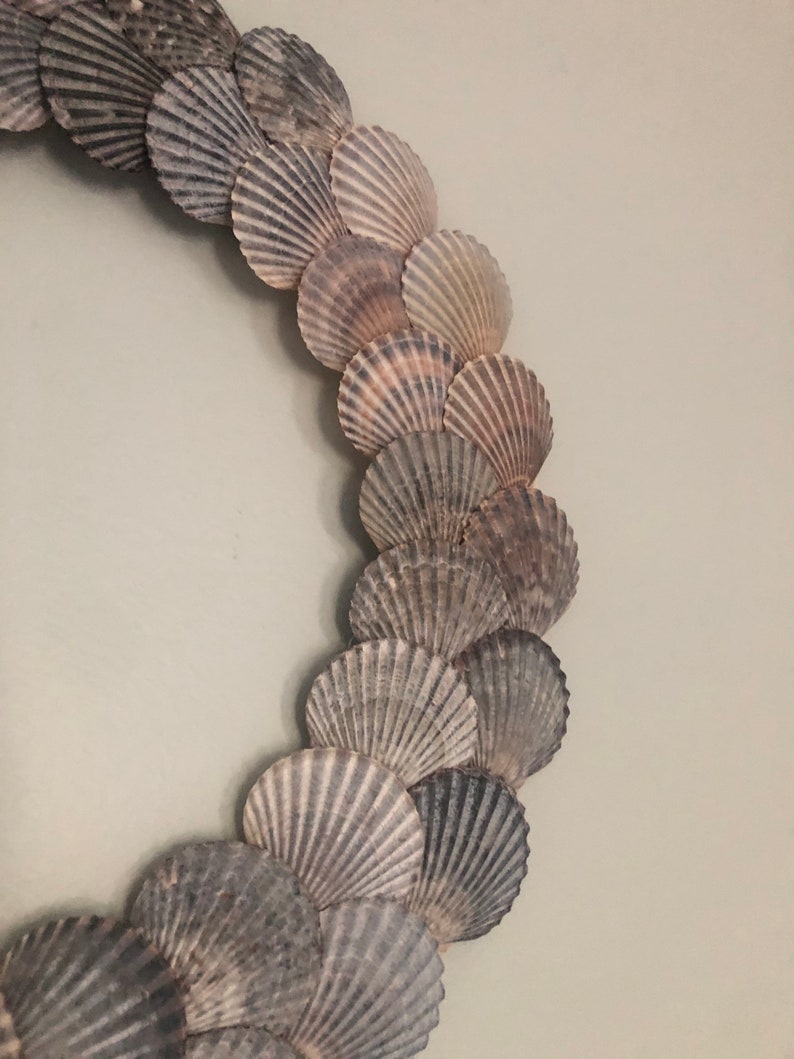 Double Row Scallop Shell Wreath 13 Coastal Wreath Beach - Etsy