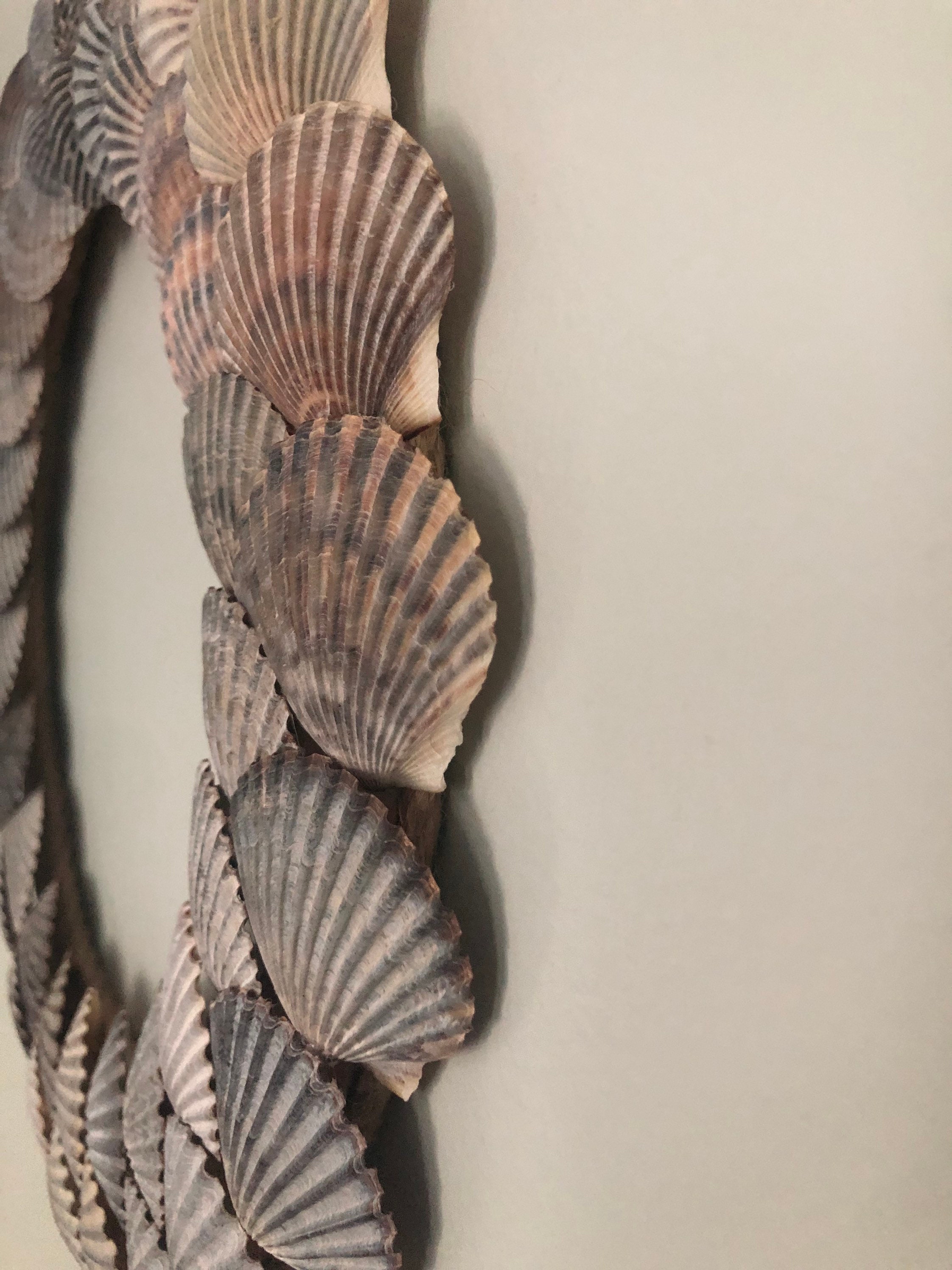 Double Row Scallop Shell Wreath 13 Coastal Wreath Beach - Etsy