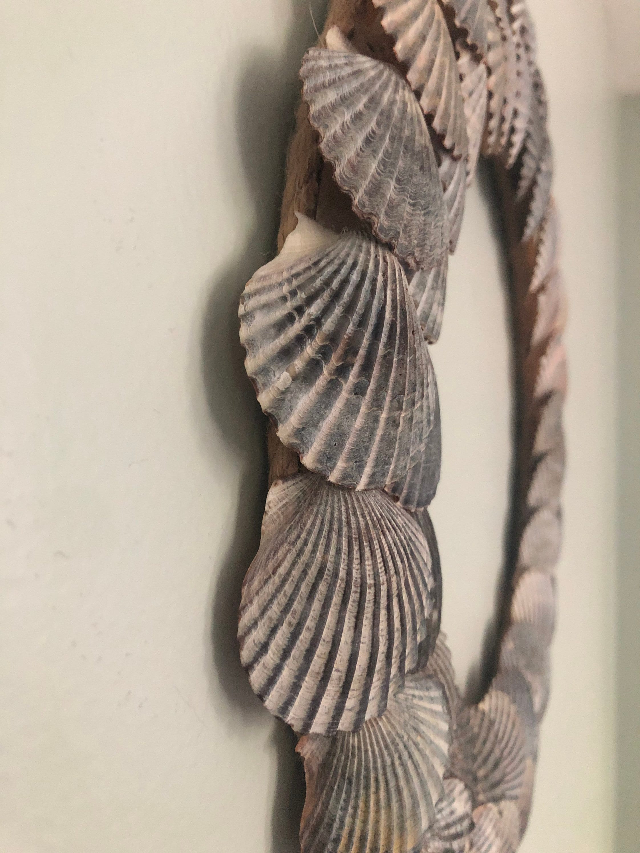 Double Row Scallop Shell Wreath 13 Coastal Wreath Beach - Etsy