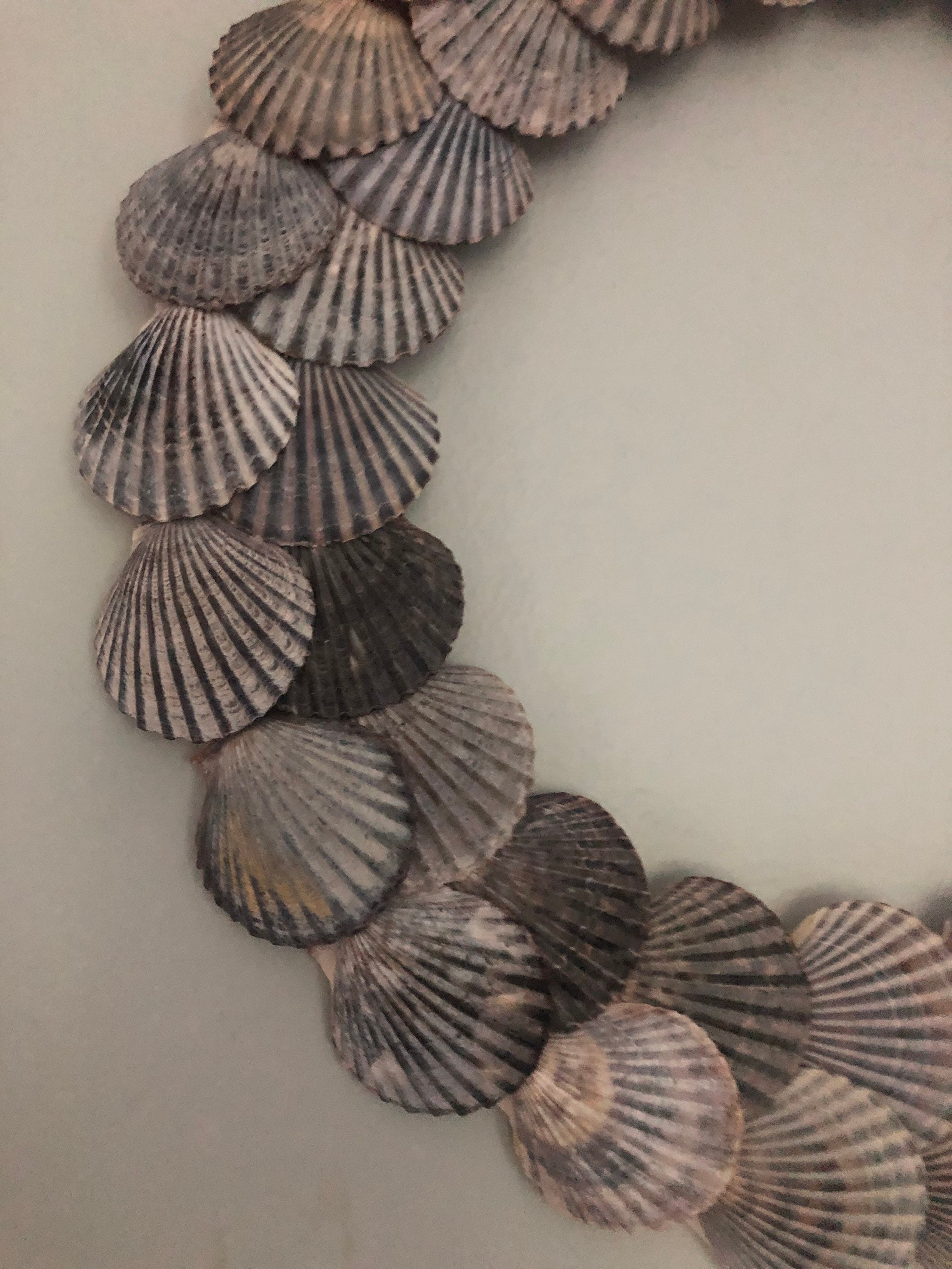 Double Row Scallop Shell Wreath 13 Coastal Wreath Beach - Etsy