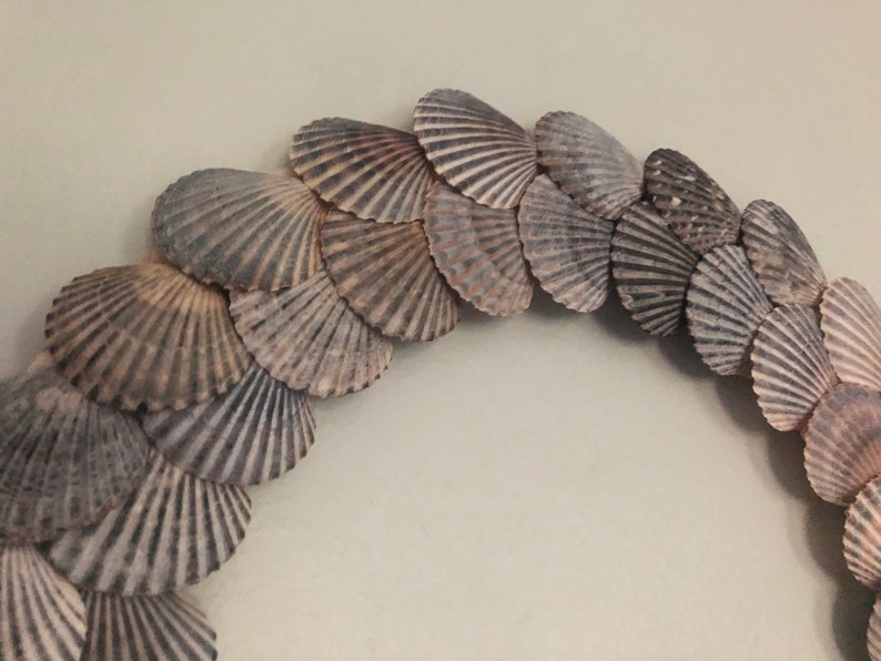 Double Row Scallop Shell Wreath 13 Coastal Wreath Beach - Etsy