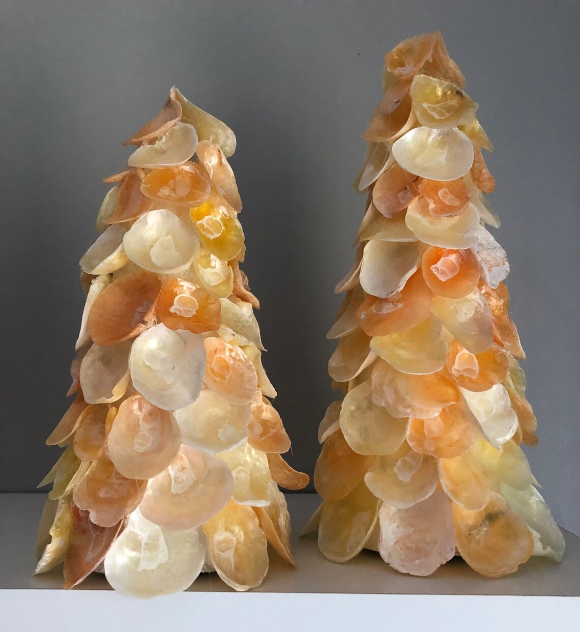 Orange Coral Jingle Shell Tree - Etsy