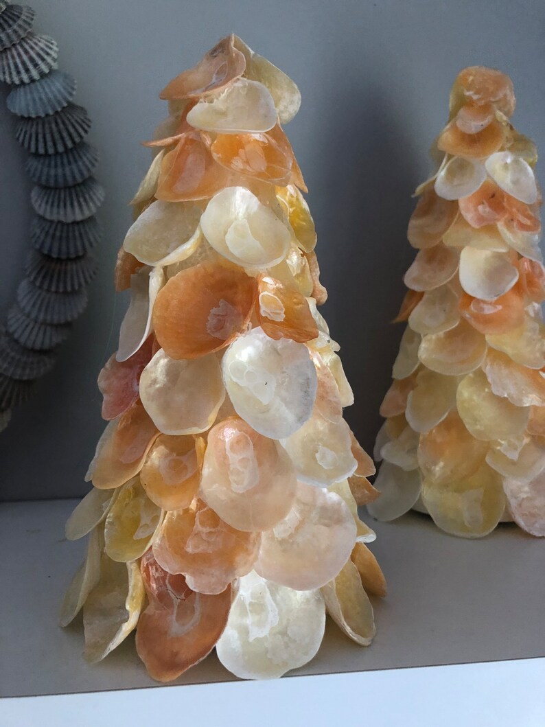 Orange Coral Jingle Shell Tree - Etsy