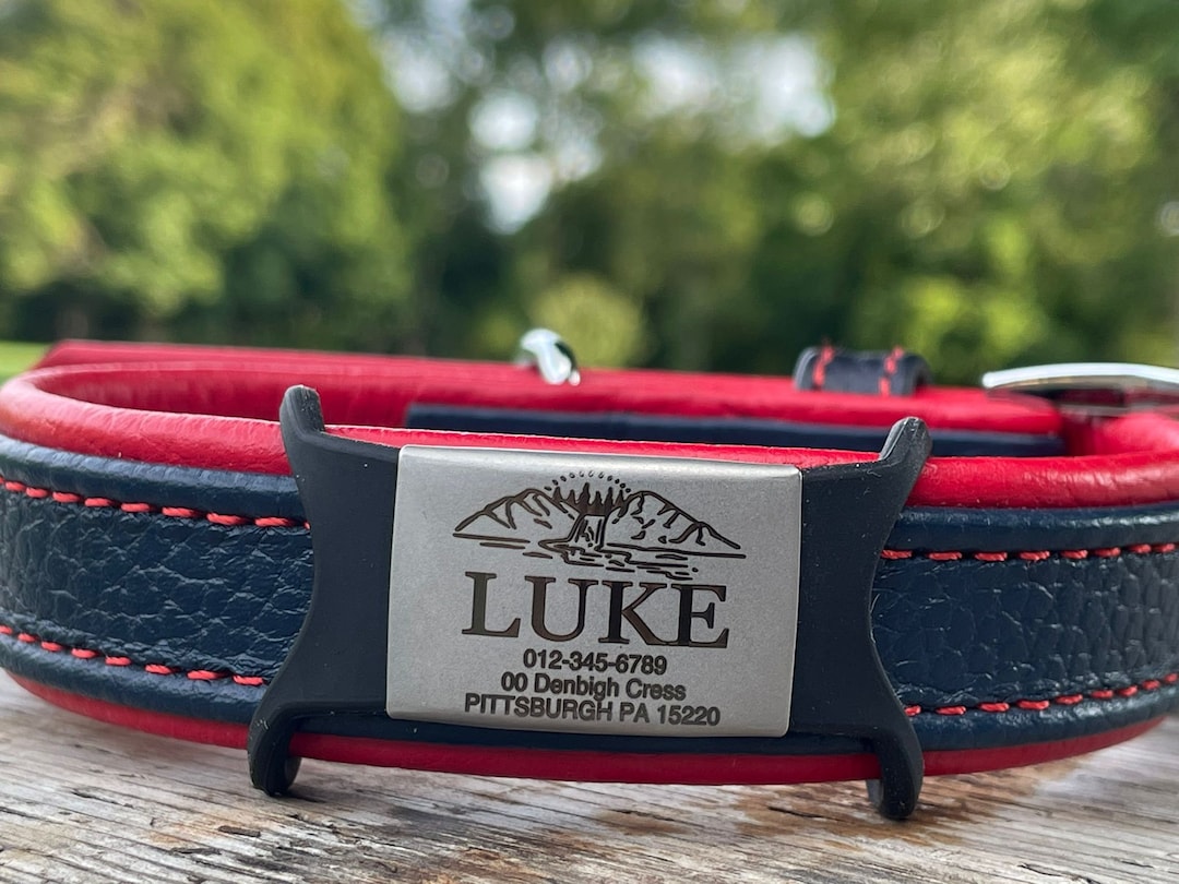 Elastic Silicone Tag for Dogs, Custom Slide Silicone Dog ID Tag, Custom ...