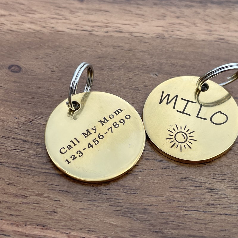 Small Fish To - Etsy