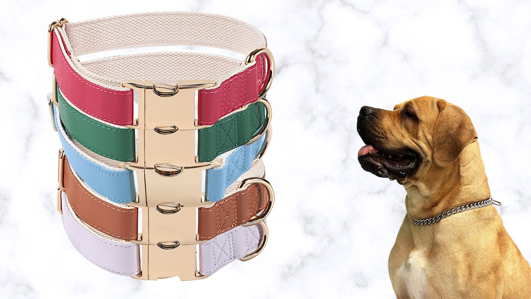 Custom Dog Collar With Gold Metal Buckle, Personalized Vegan Soft ...