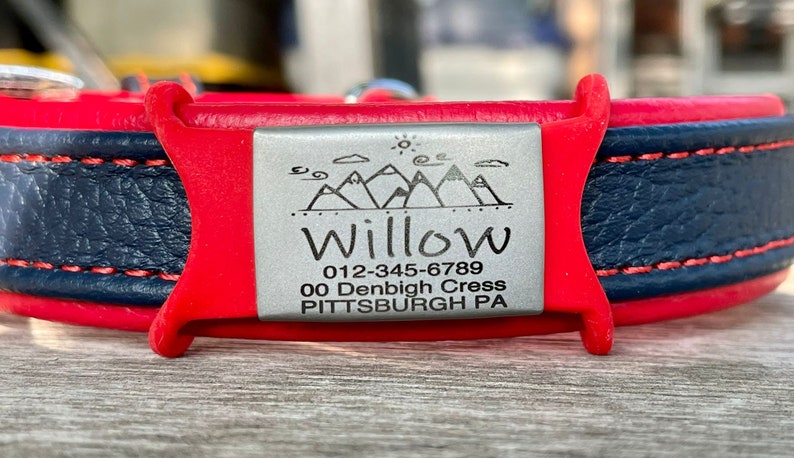 Elastic Silicone Tags for Pets Custom Silicone Slide on Dog - Etsy