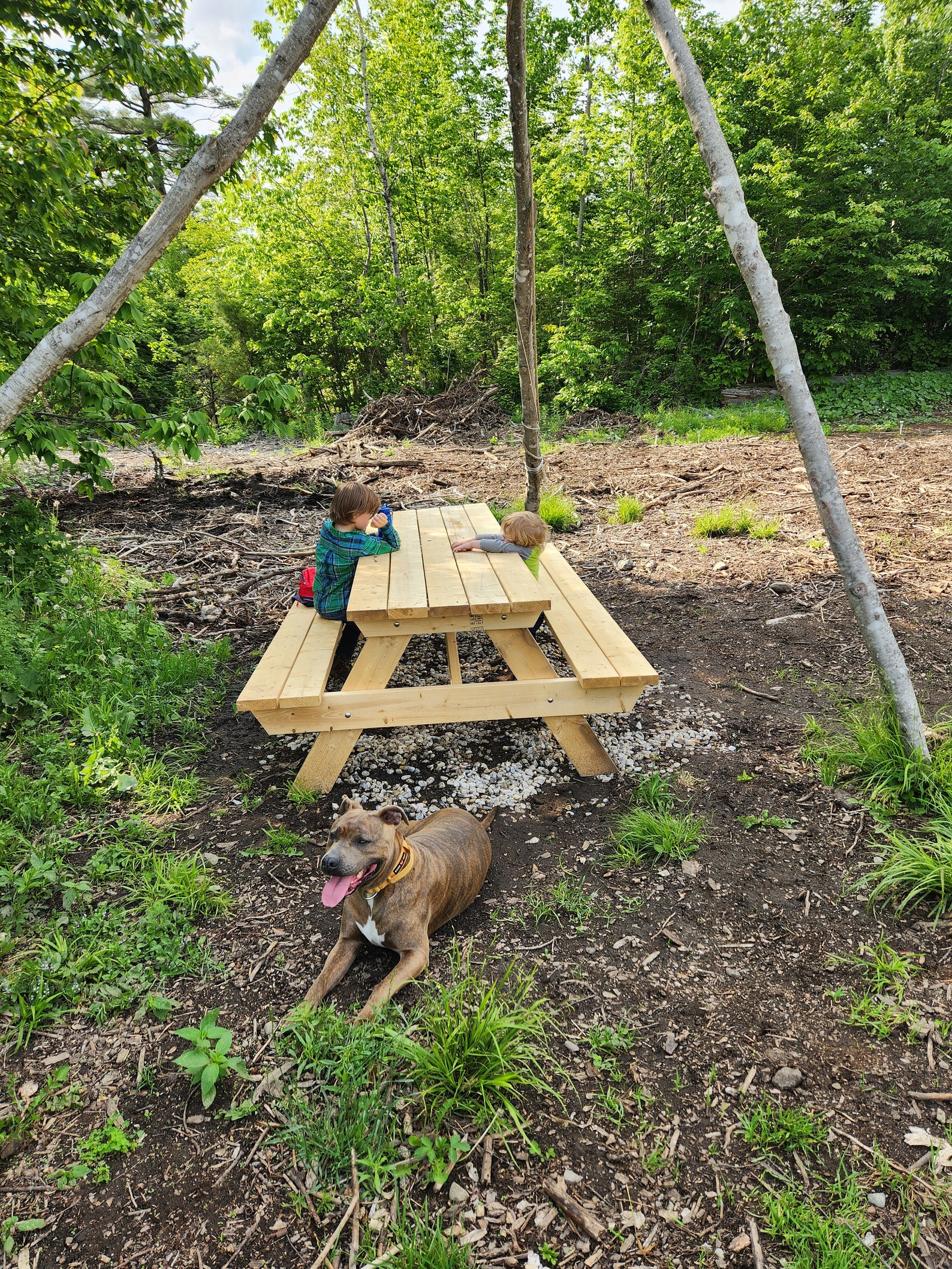 8 Foot Picnic Table DIY Building Plans - Etsy