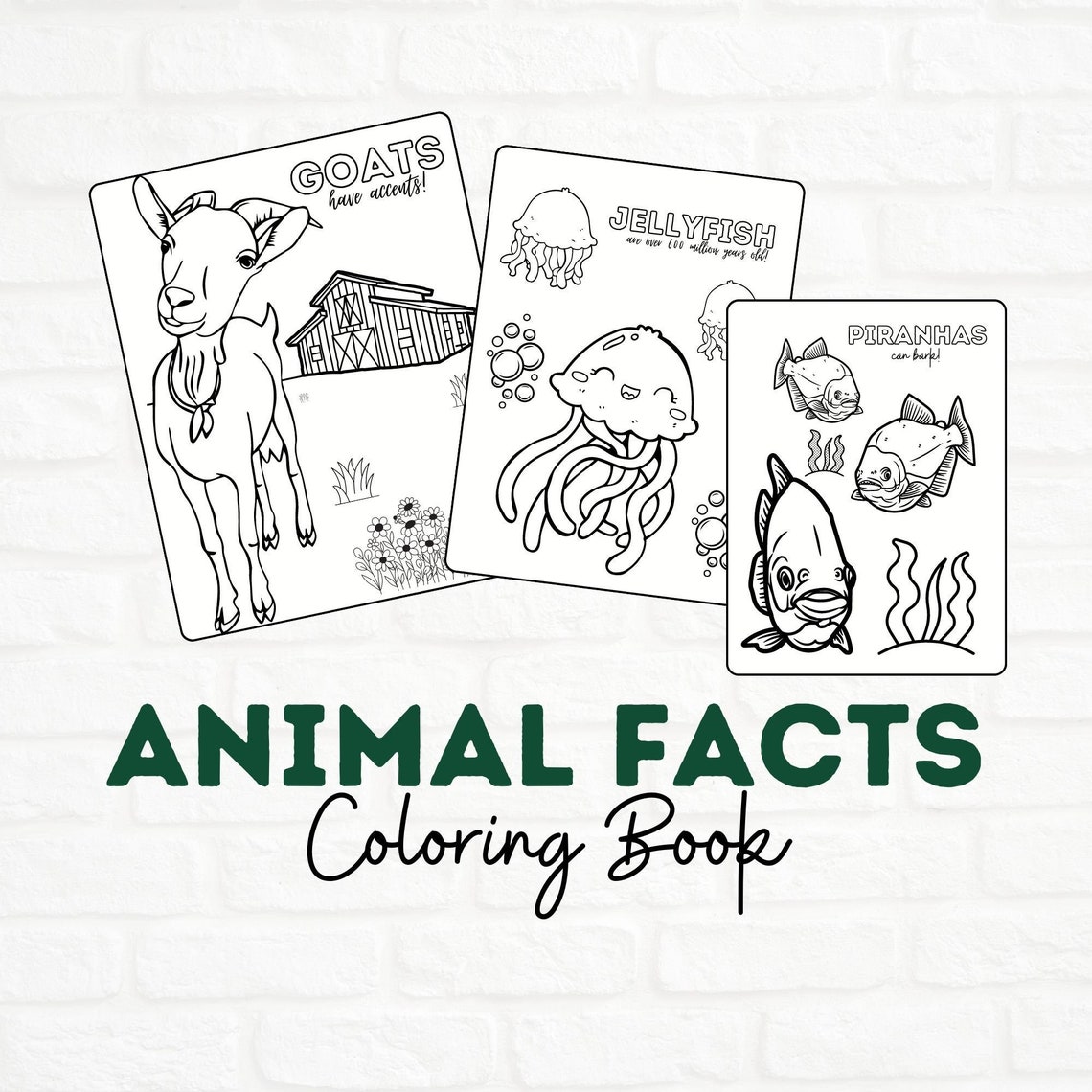 Animal Facts Coloring Pages - Etsy