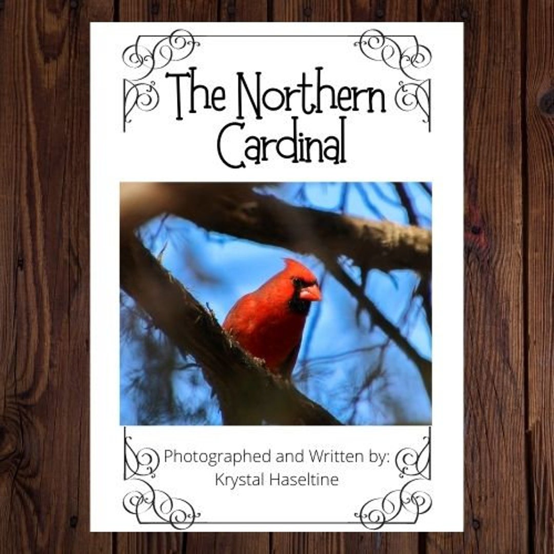 The Northern Cardinal - Early Shared Reader - Etsy