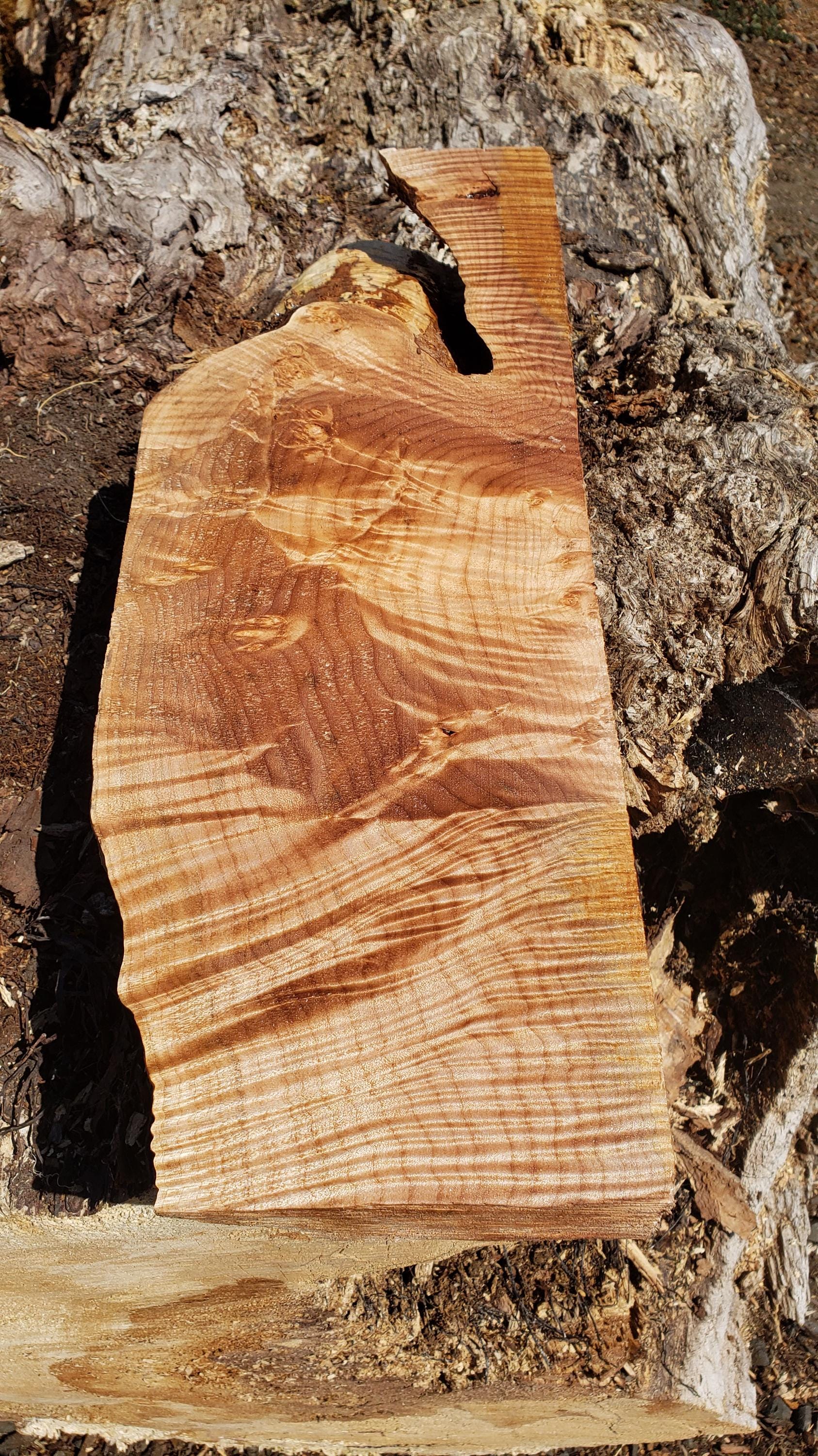 Curly Maple 1 Piece (B453) - Etsy