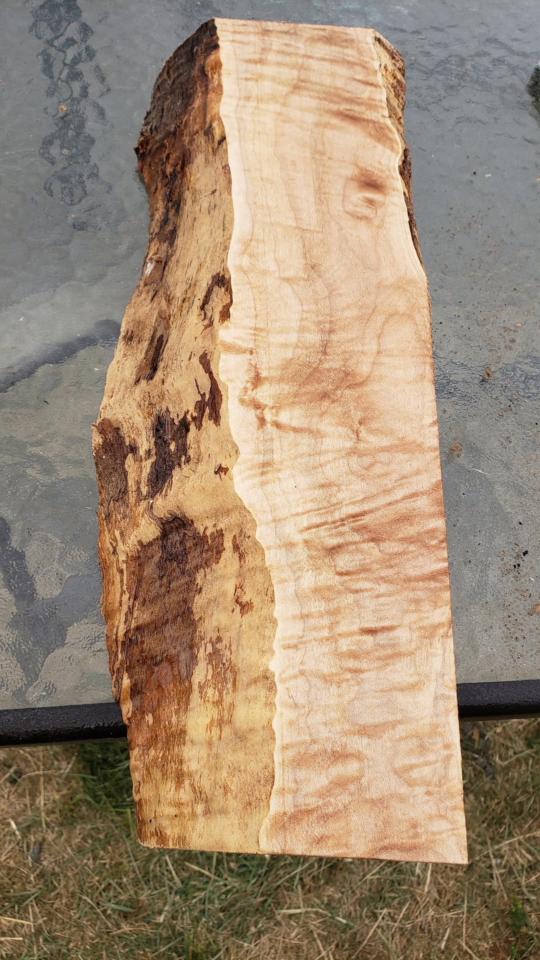 Curly Maple 1 Piece (B432) - Etsy