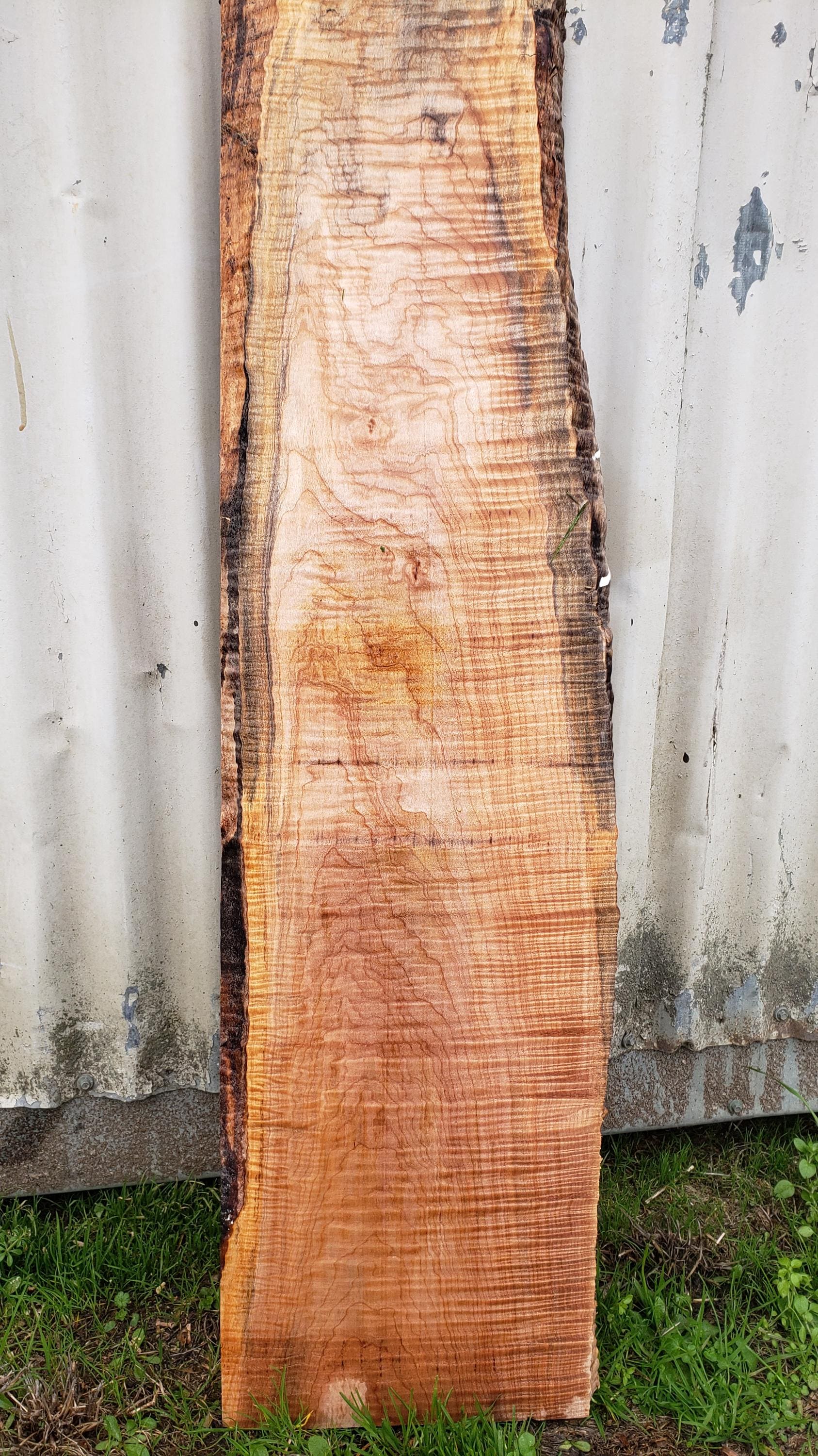 Curly Maple 1 Slab (B462) - Etsy
