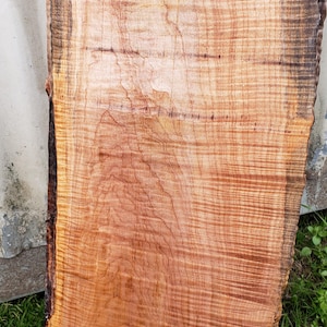 Curly Maple 1 Slab (B462) - Etsy