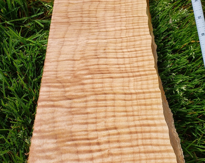 Curly Maple or Fiddleback Maple 1 Piece B323 - Etsy