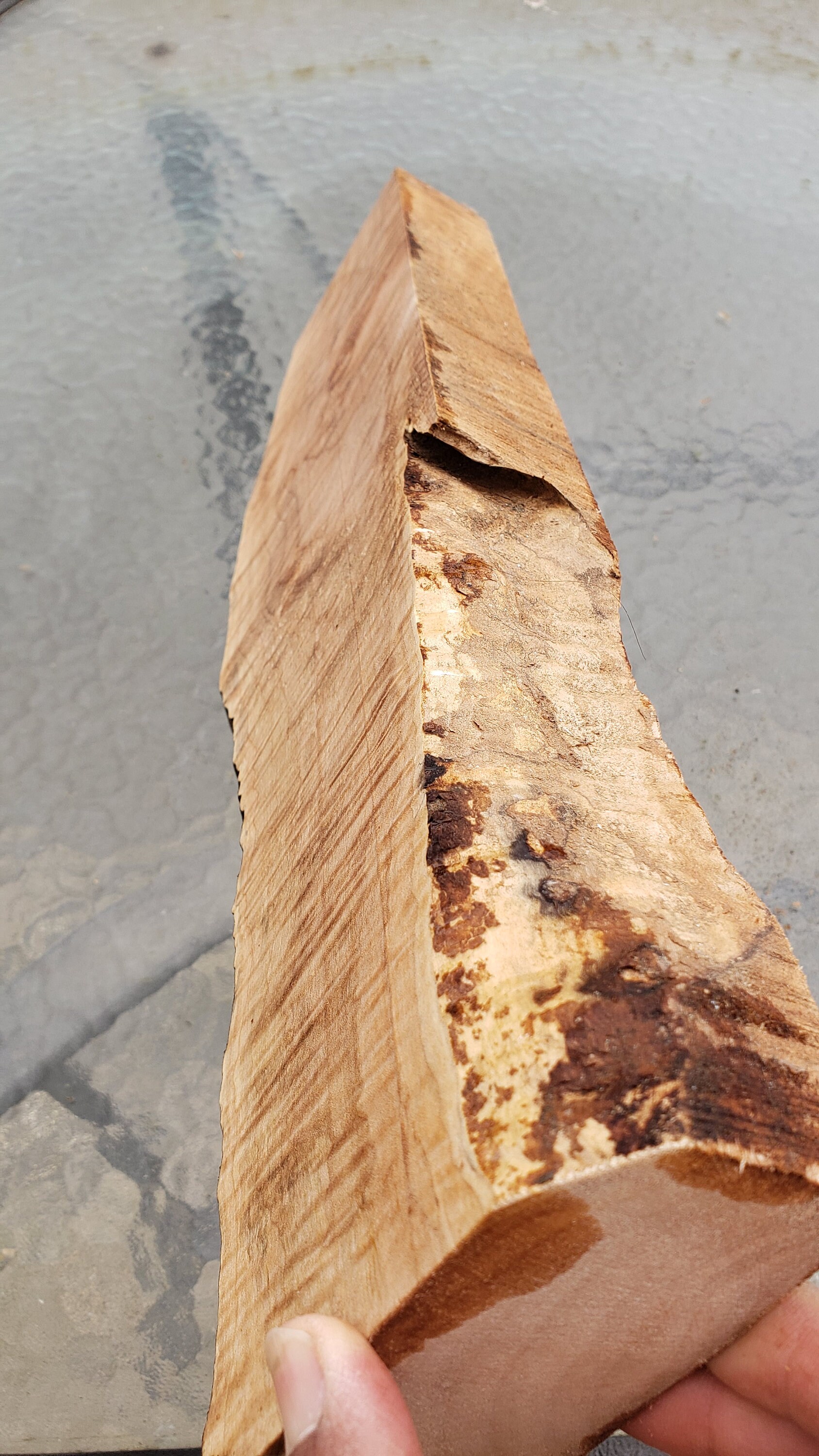 Curly Maple 1 Piece (B431) - Etsy