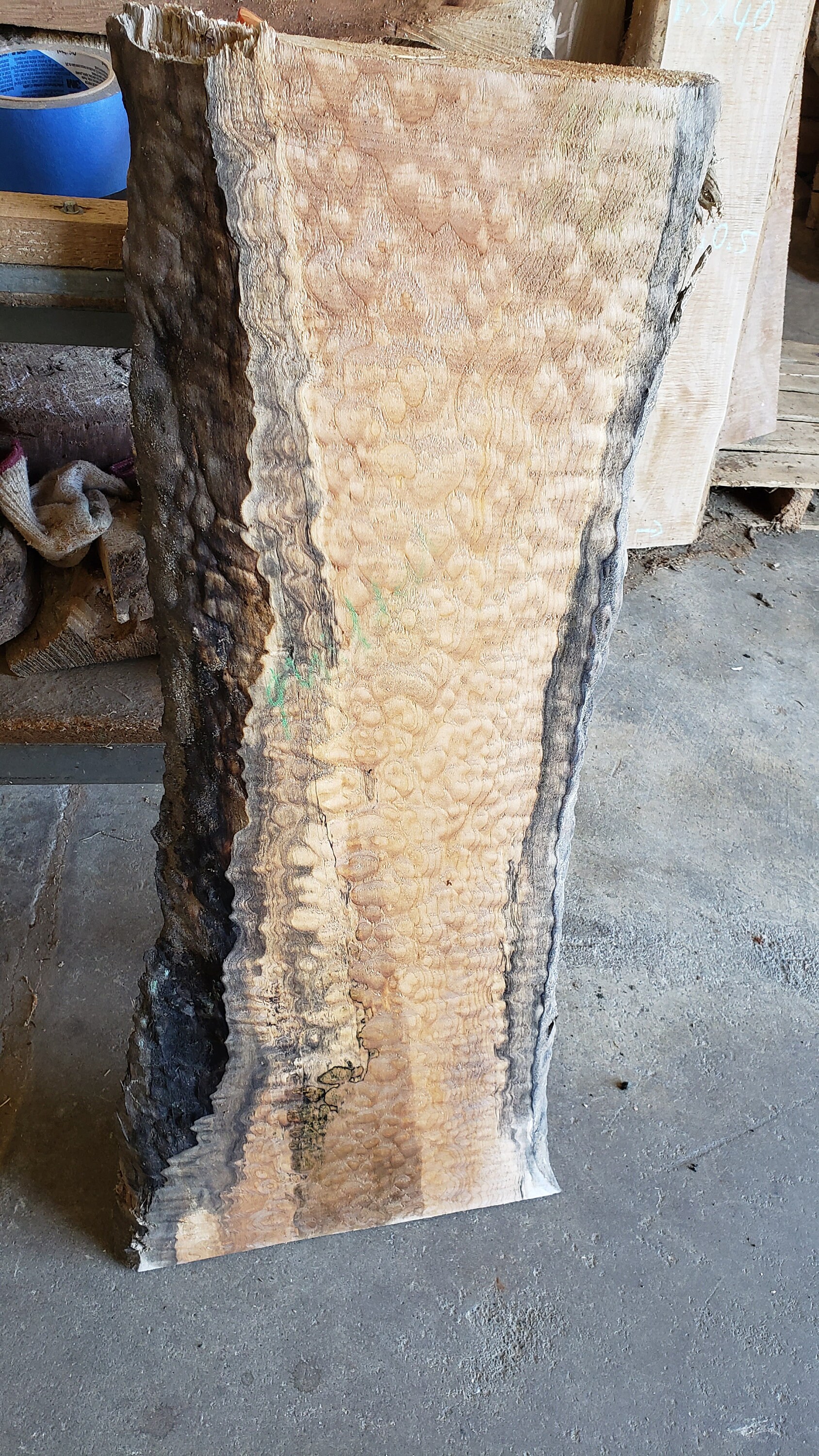 Quilted Maple 1 Slab. B340 - Etsy