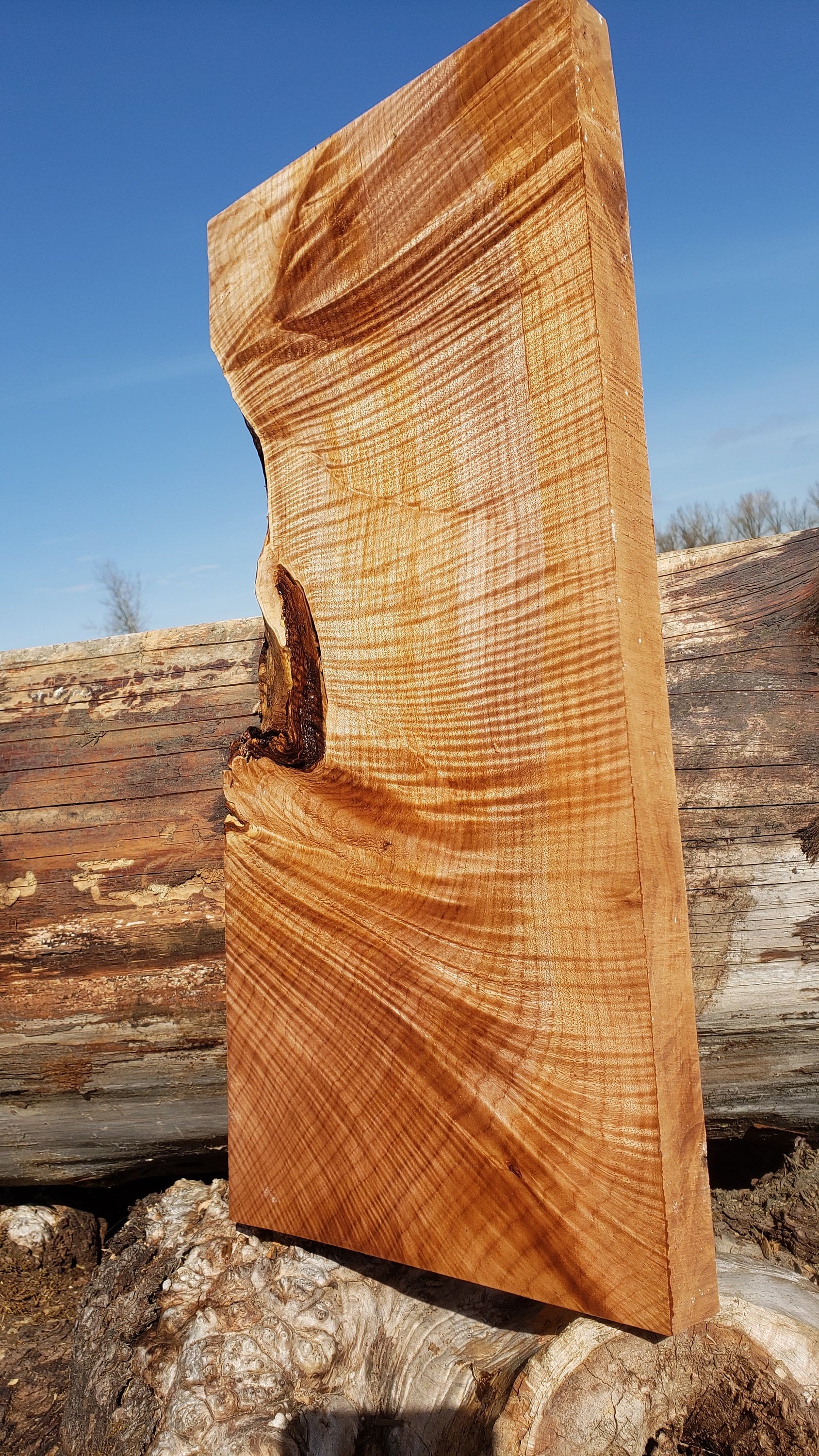 Curly Maple 1 Piece B388 - Etsy