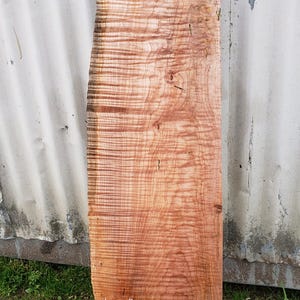 Curly Maple 1 Slab (B462) - Etsy