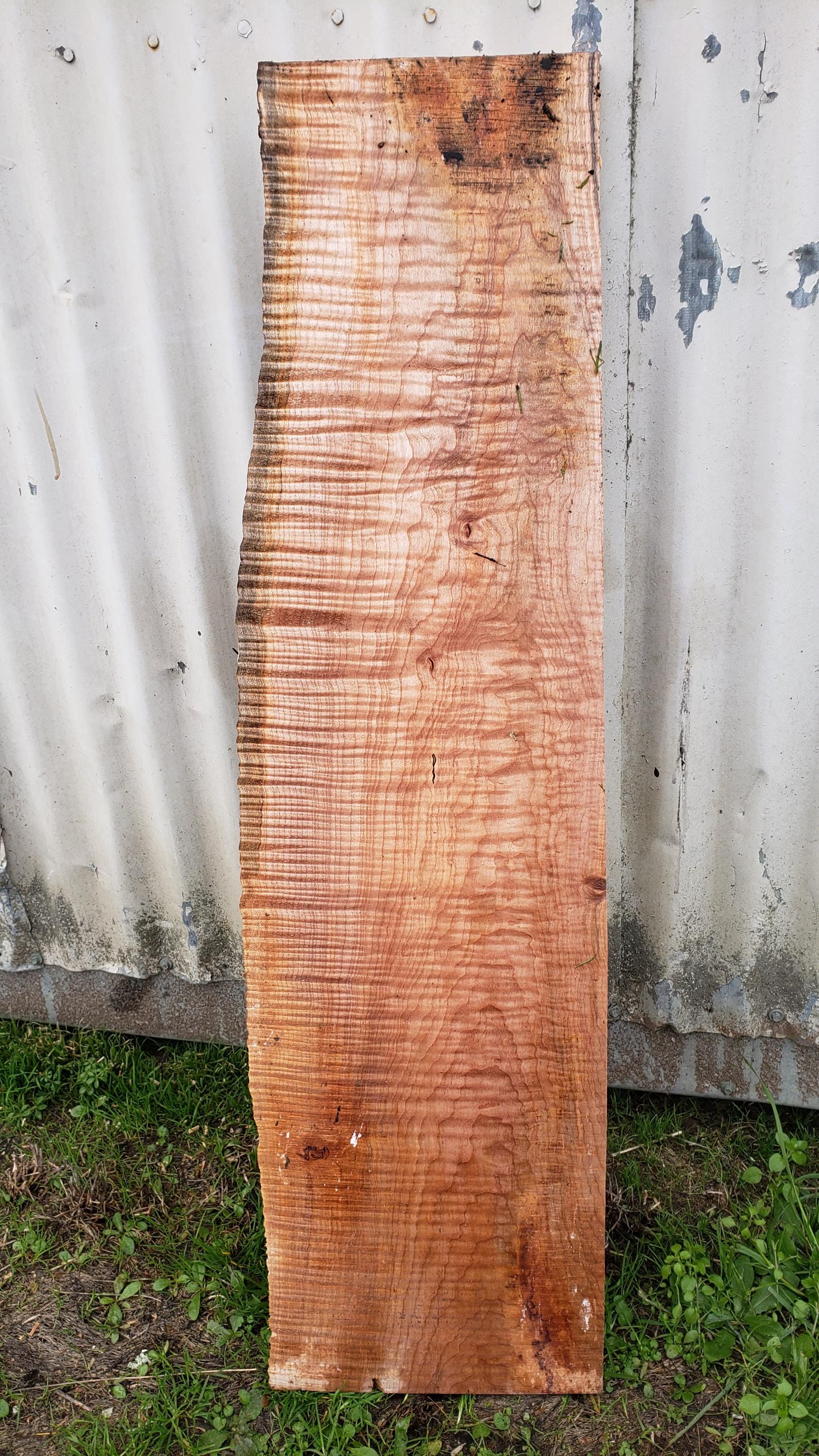 Curly Maple 1 Slab (B462) - Etsy