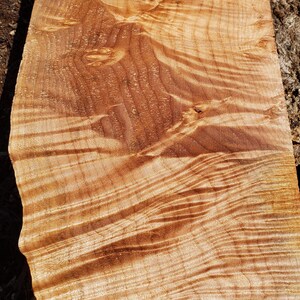 Curly Maple 1 Piece (B453) - Etsy