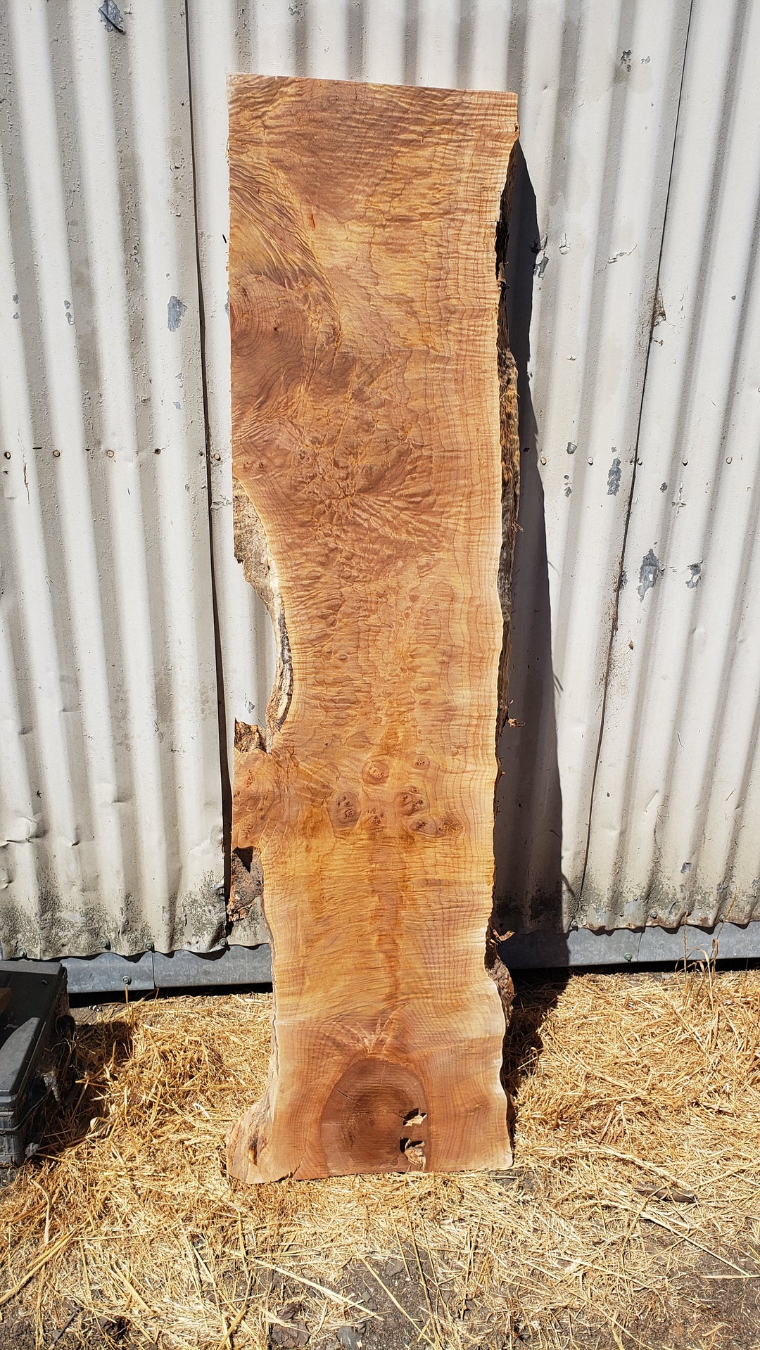 Curly quilted Maple 1 Slab B335 - Etsy