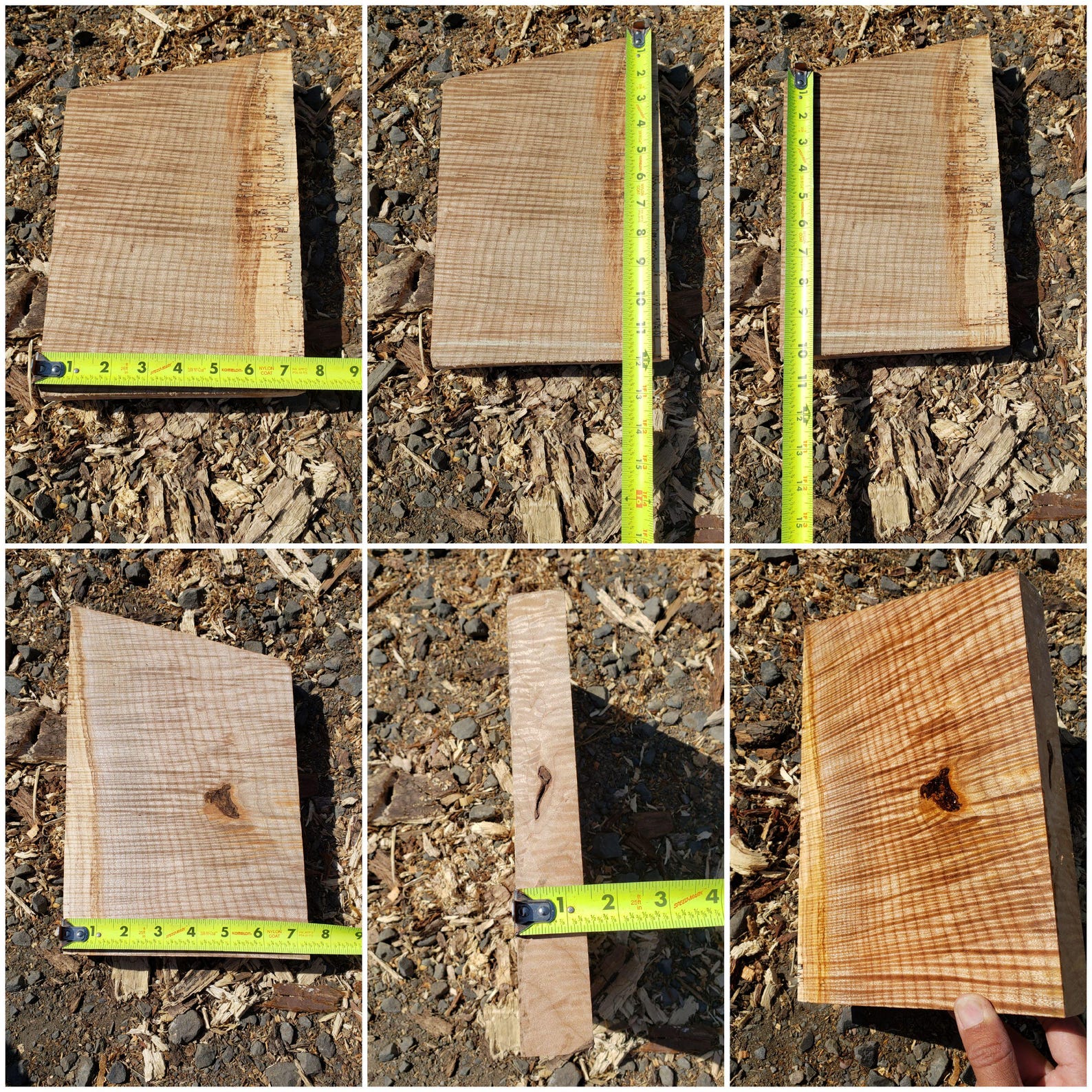 Curly Maple 1 Piece (B443) - Etsy