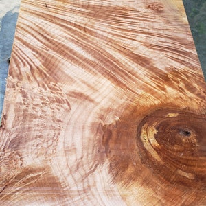 Curly Maple 1 Piece (B380) - Etsy