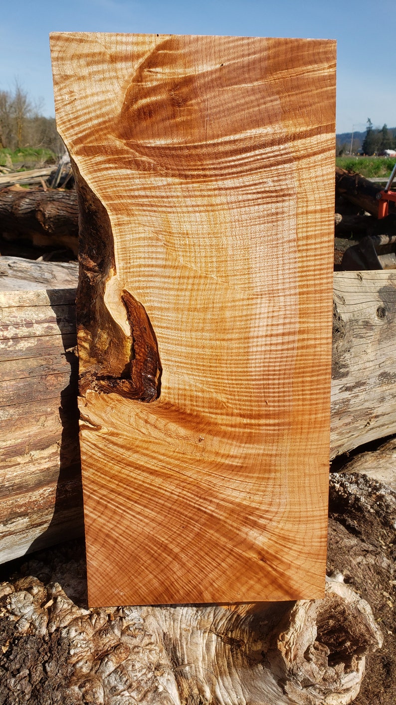 Curly Maple 1 Piece B388 - Etsy