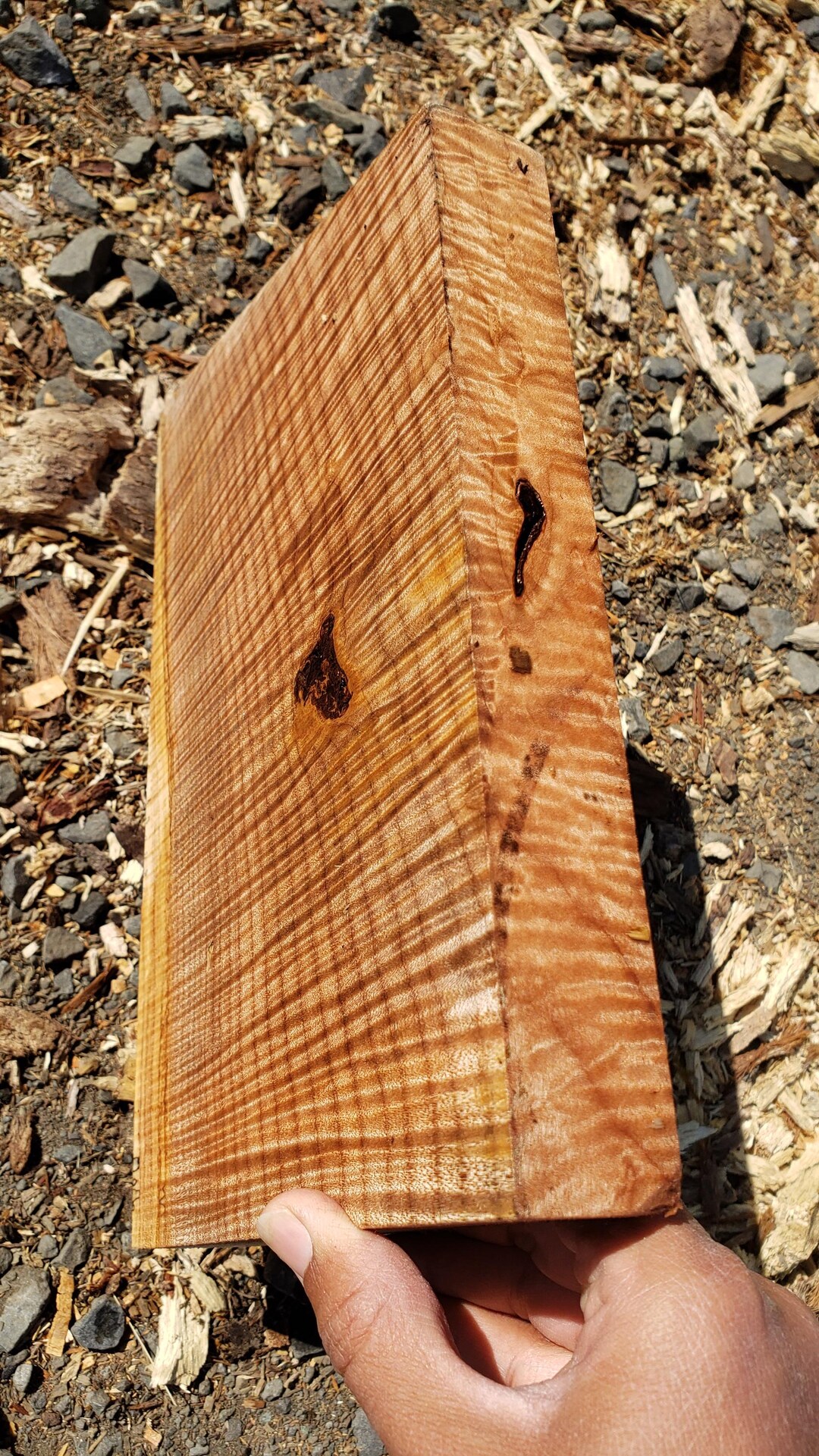 Curly Maple 1 Piece (B443) - Etsy
